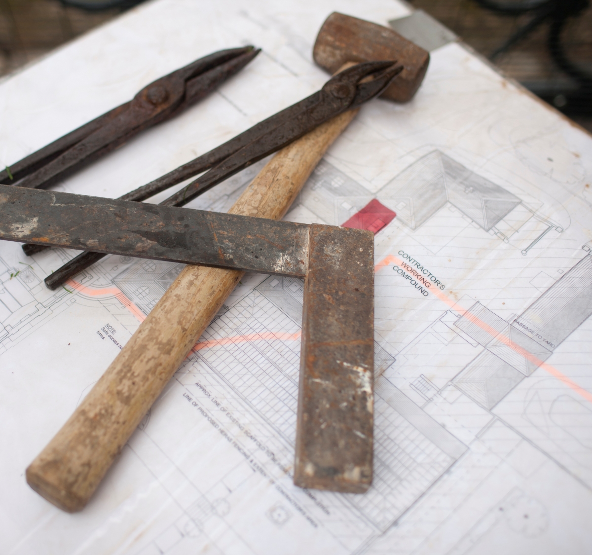 Advice | spab.org.uk Advice | spab.org.uk