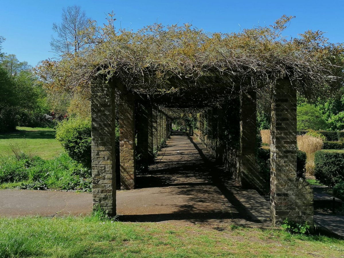 Postcards from home: Ruskin Park, Denmark Hill, London | spab.org.uk